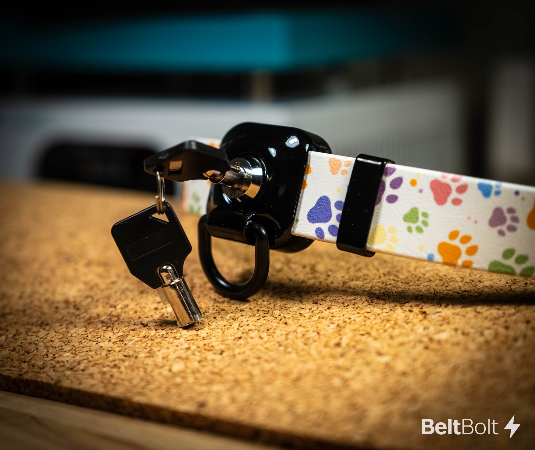 Biothane locking waist belt – BeltBolt
